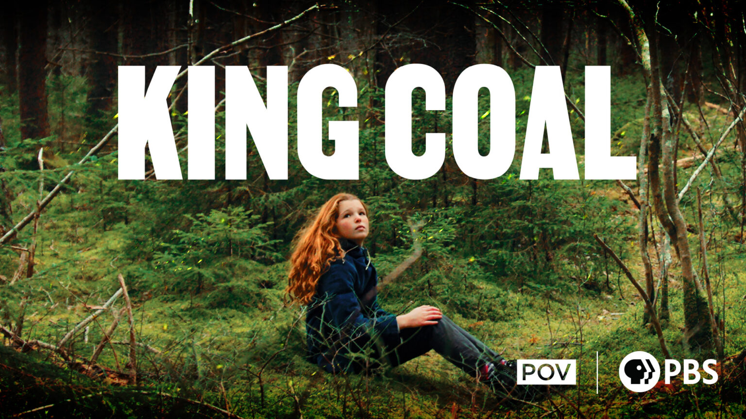 Home - PBS Distribution